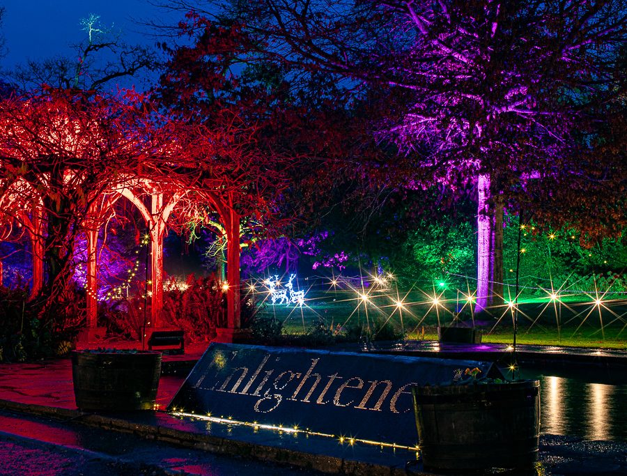 Home 2022 - Enlightened Moments Enlightened Moments